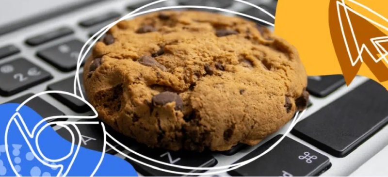 Para que servem os cookies da web? | SiAtualize